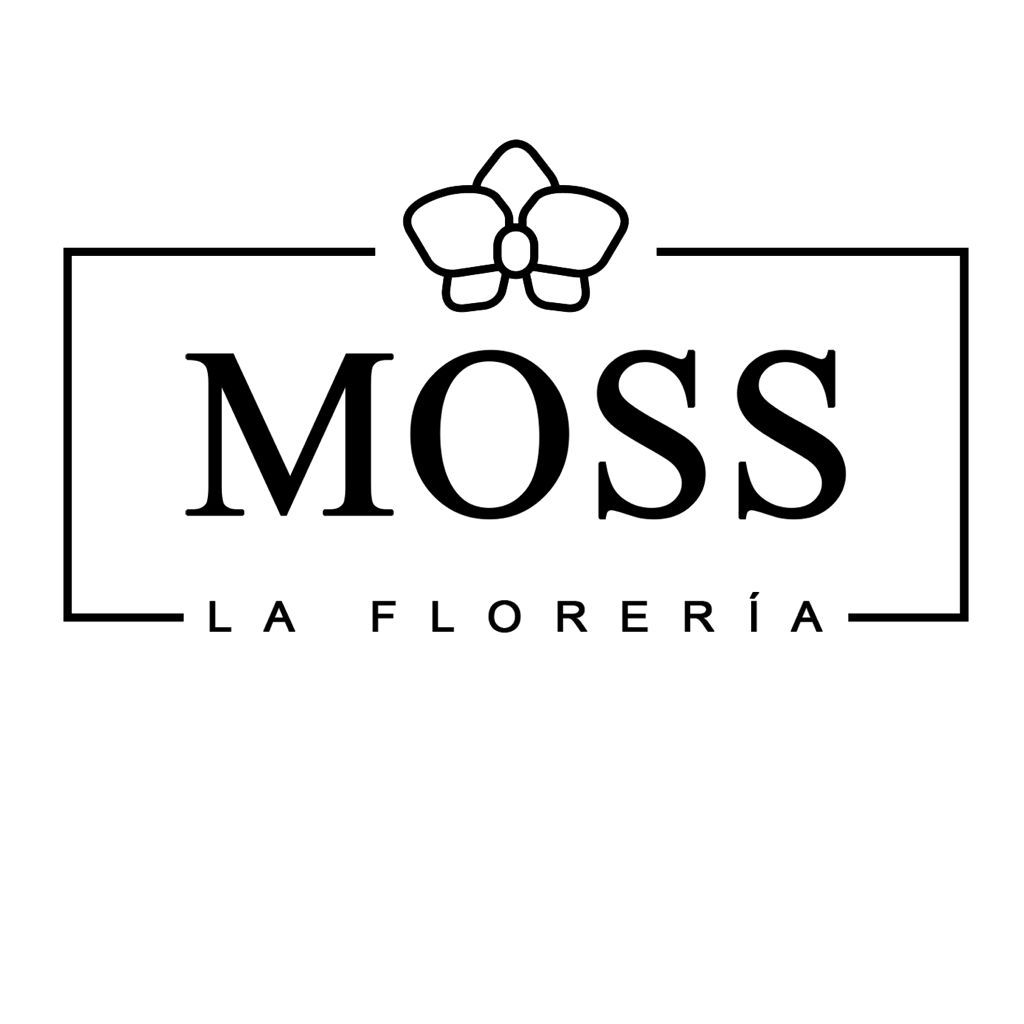 MOSS – Municipalidad de Magdalena del Mar